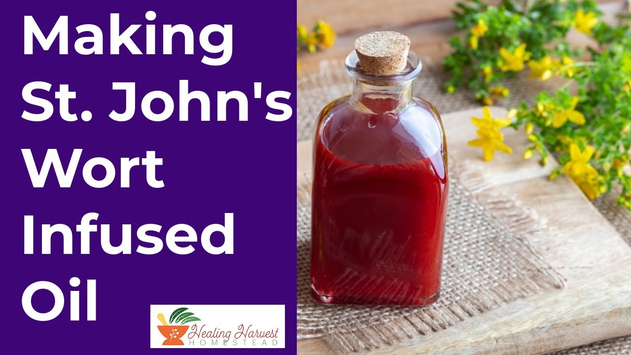 How to Make St. John's Wort Infused Oil: Benefits and Uses