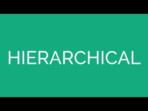 How To Pronounce Hierarchical