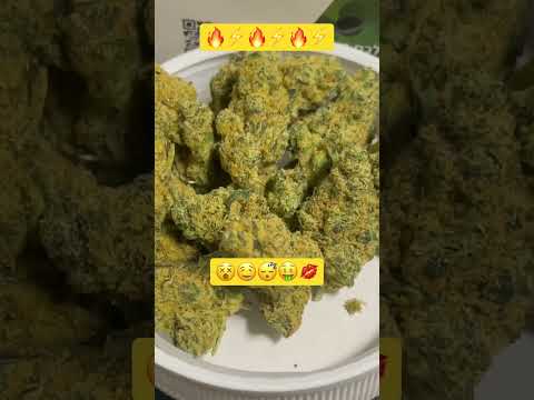 Medical cannabis indica (GMO strain)#cannabisdaily #weednews #medicalcannabis #shorts