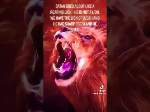 The 🦁 Lion of The Tribe Of Judah