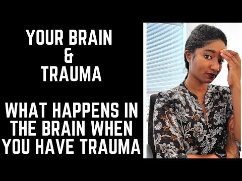 Your Brain & Trauma: What Happens To The Brain-Psychotherapy Crash Course