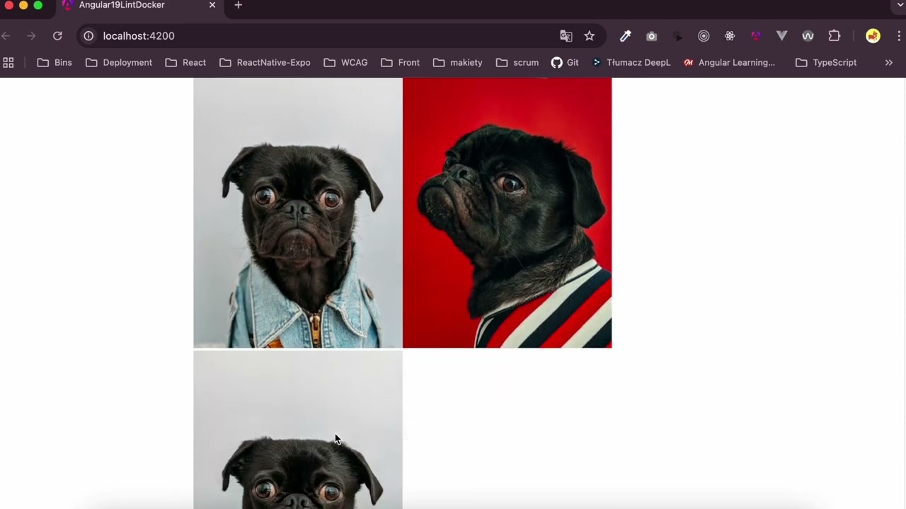 Angular 19 ESLint Prettier Husky Docker Boilerplate