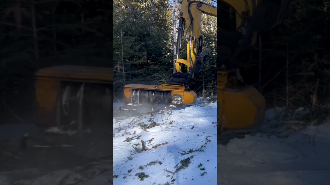 Making quick work of the undesirable softwood regeneration #maine #forestmanagement ​⁠