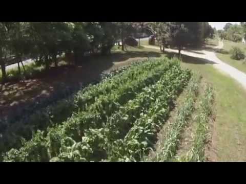 About | Bio Organic Farm