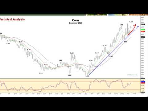 December Corn Chart | Heartland Farm Partners