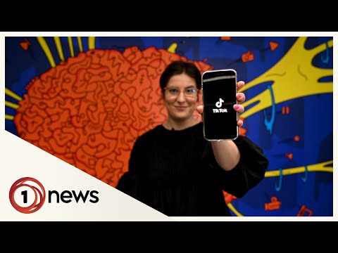 Is TikTok the new Google?