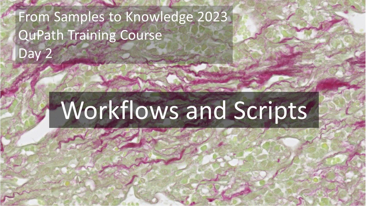 Workflows and Scripts