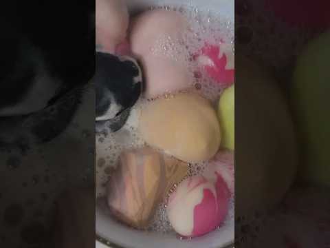 Easy way to clean makeup sponges 2023