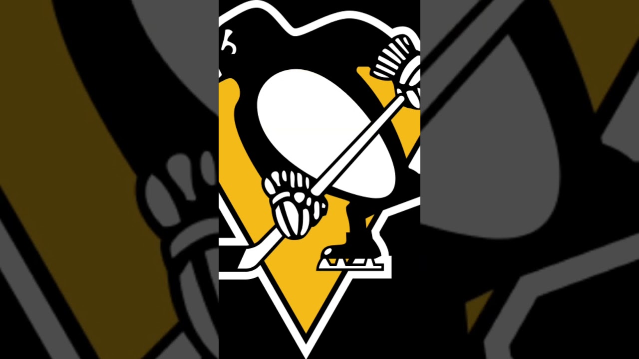 Top 3 logos | edited by @Hockeykid2023 |#nhl #hockey #logo