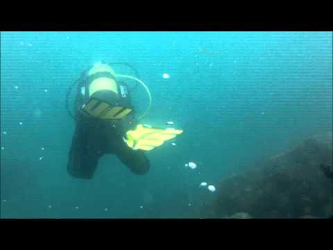 Mergulho Fontes Hidrotermais - Ribeira Quente