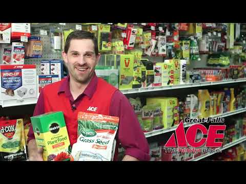 Ace Hardware - Great Falls, MT