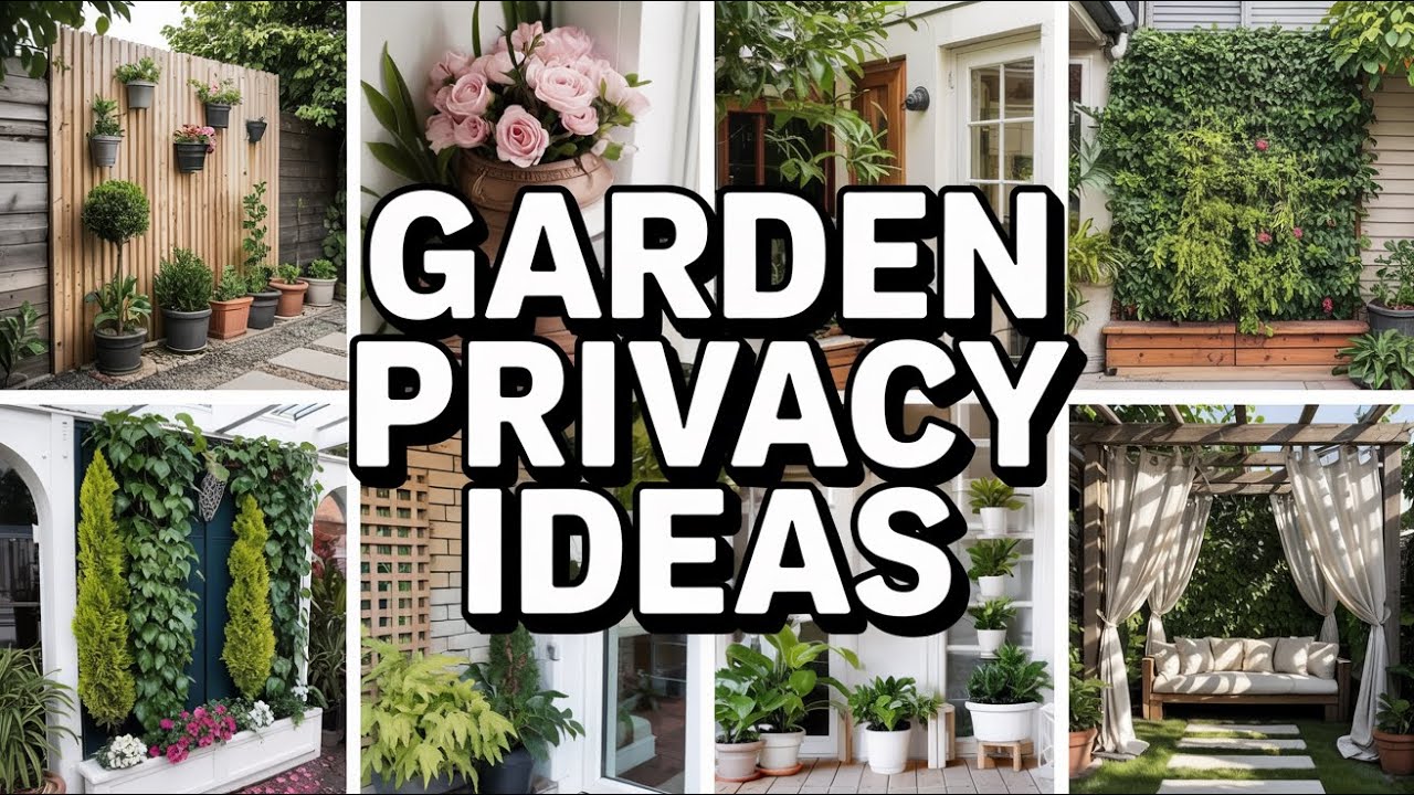 Garden Privacy on a Budget: Create a Secluded Oasis for Less!