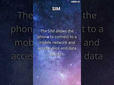 Word Of The Day | 81 | Meaning of SIM