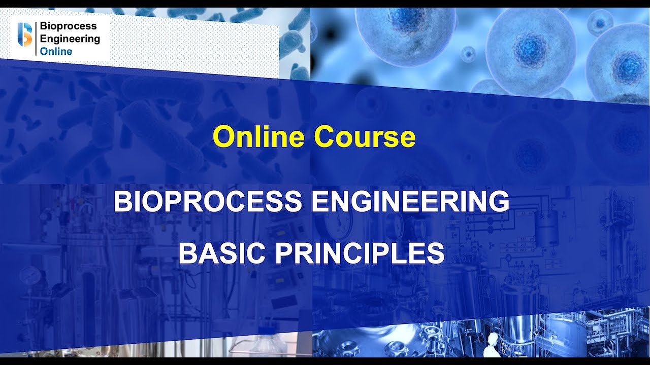 Online course Bioprocess engineering basic principles
