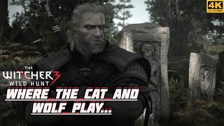 Where the Cat and Wolf Play at The Witcher 3 Nexus - Mods and community