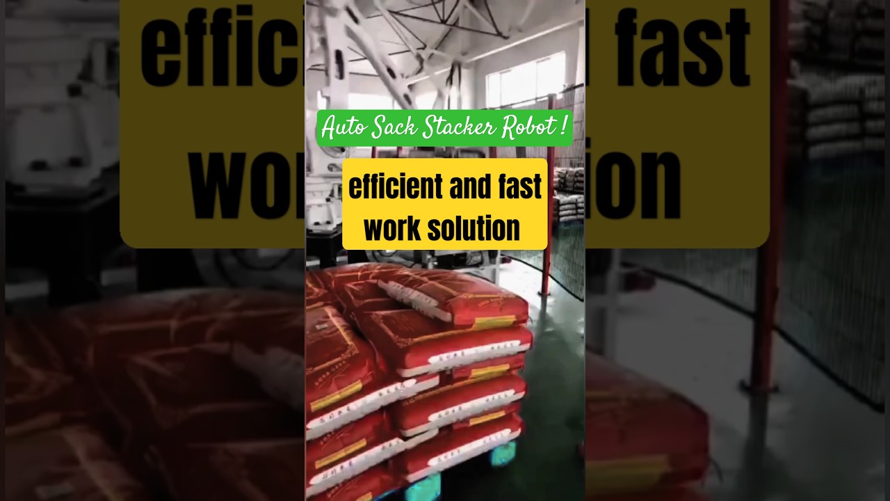 Automatic Sack Palletizing at Lightning Speed