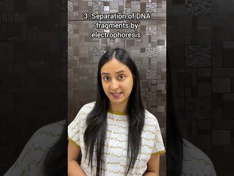 DNA Fingerprinting in 50 seconds 🤯 #neet #biology #shorts