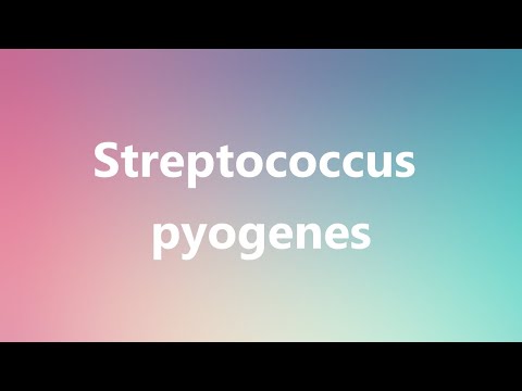 Streptococcus pyogenes - Medical Definition and Pronunciation