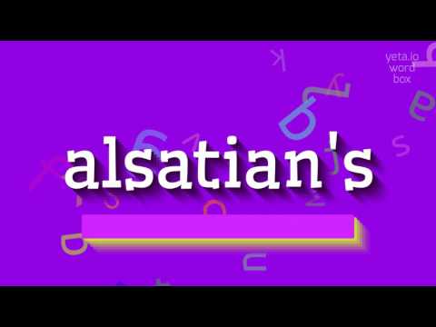 How to say "alsatian's"! (High Quality Voices)
