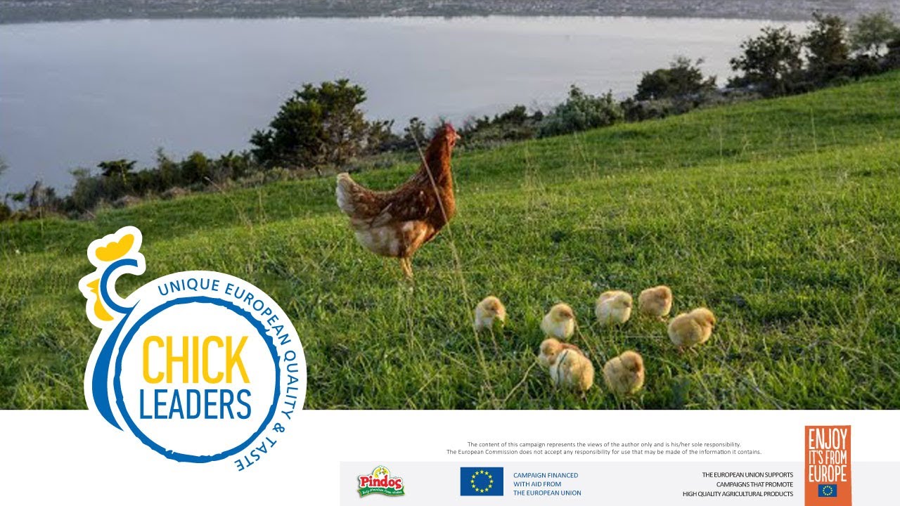 Innovation of EU Poultry Meat