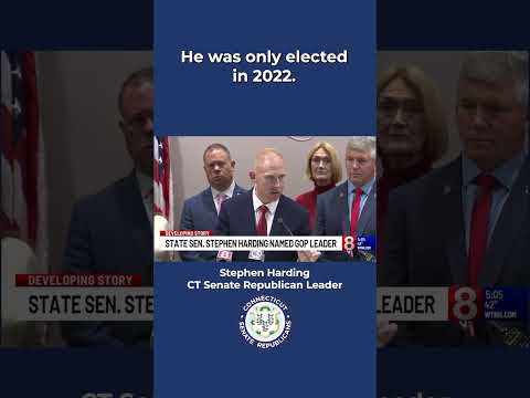 CT Senate Republican Leader Stephen Harding News 8 Clip 1