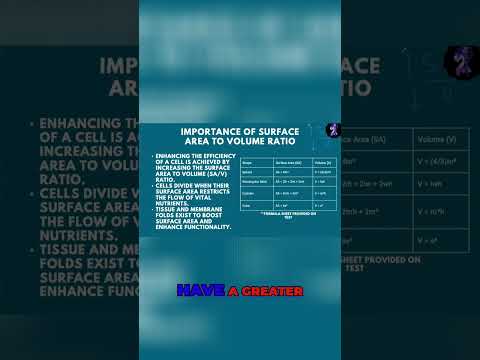 Unlocking the Secret: Maximizing Surface Area to Volume Ratio