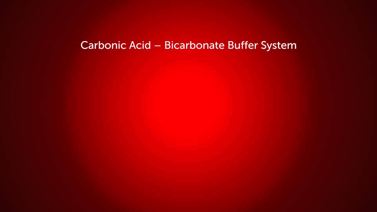 The Blood Buffer System