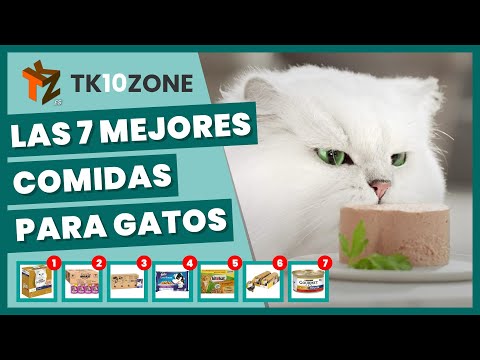 Las 7 mejores comidas para gatos