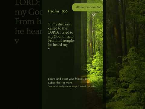 22.06.2025: 🙏 Bible Verse of the Day | #prayerlife | Grateful Heart