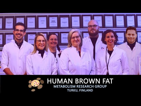 Human Brown Fat Research Group Turku Finland