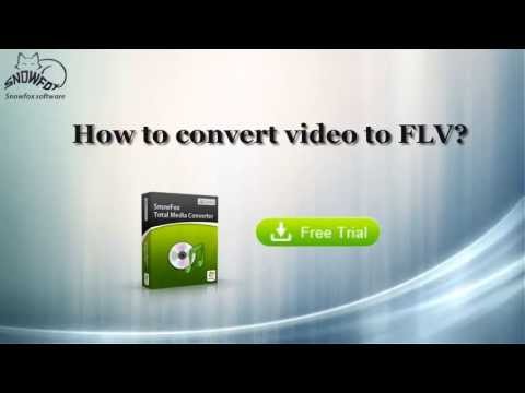 Video to FlV - How to convert video to FLV (H.264)