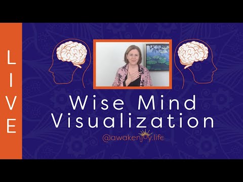 Wise Mind Visualization