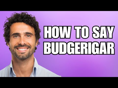 How To Pronounce Budgerigar (Correctly)