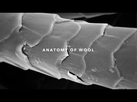 Wool at Best Price in India