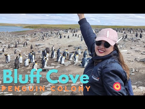 Penguin Tour in Bluff Cove, Port Stanley, Falkland Islands (Malvinas) by Pinay at Sea