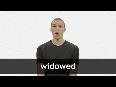 WIDOWED definition in American English | Collins English Dictionary