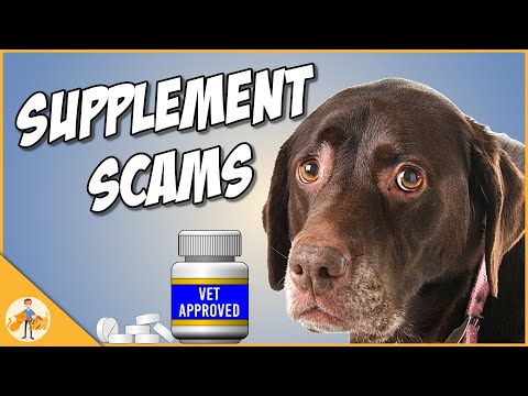 Dog Supplement Scams - Don't Get Caught Out (one vet's story)
