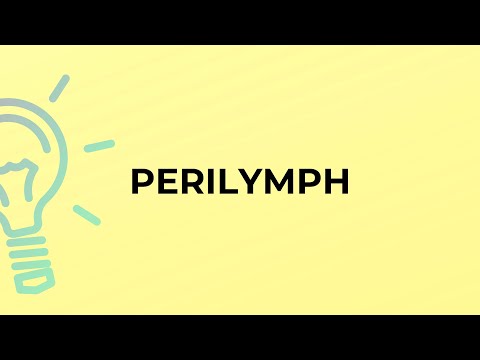 What is the meaning of the word PERILYMPH?