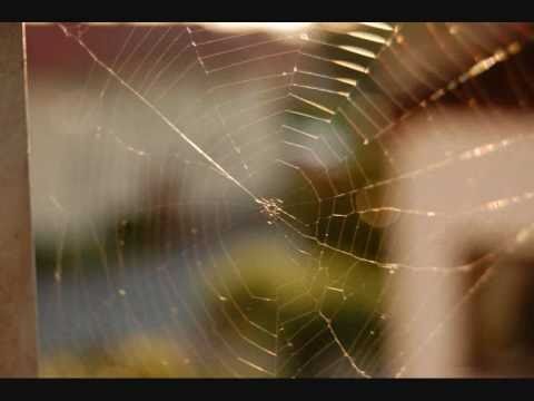 Hymnodi - Sense of selflessness
