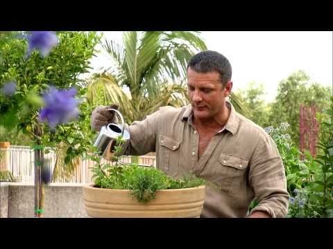 How to create Incredible Edibles