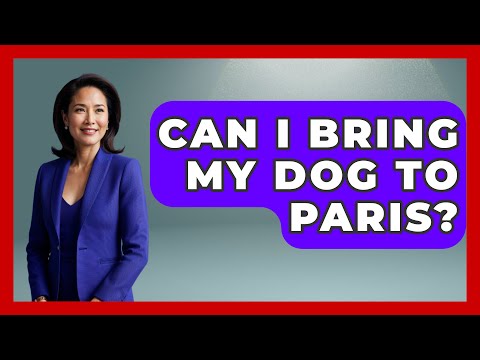 Can I Bring My Dog To Paris? - France Fact File