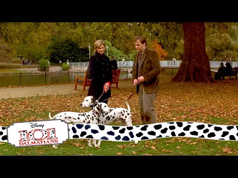 Pongo and Perdita meet | (3/15) Movie Scenes | 101 Dalmatians (1996) HD