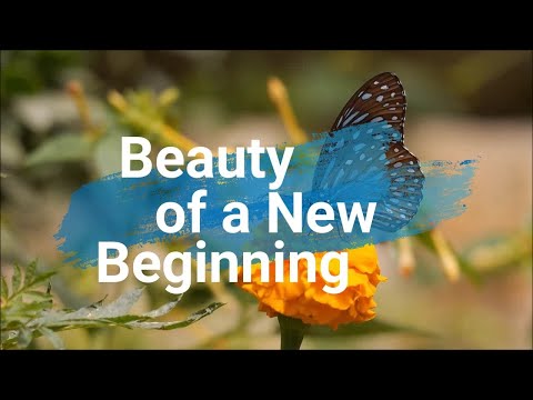 Inspirational Words Hearts and Minds/ BEAUTY OF A NEW BEGINNING.