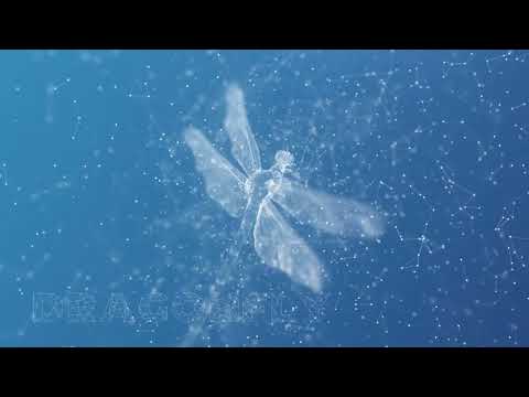 Insects 🤖 Robot Learning 🦋 Vocabulary for children English learning for kids