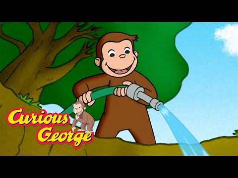 George Builds a Pond! π΅ Curious George π΅ Kids Cartoon π΅ Kids Movies
