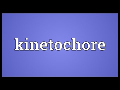 Kinetochore Meaning