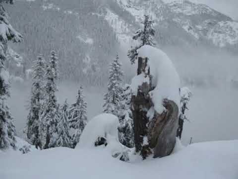 Soundski 12 - DVD 2