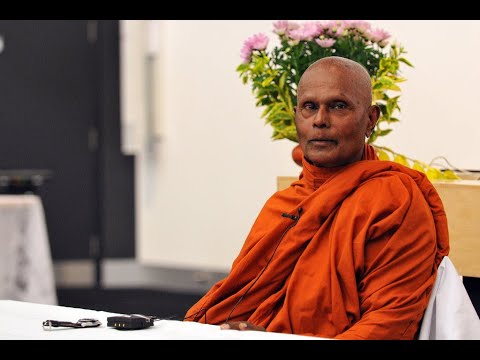 20.05.02 Understanding Kamma and Saṅkhāra // Bhante Gunaratana // Dhamma Talk & Metta Instructions