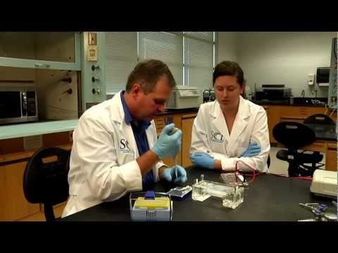 SCF Biotechnology Program