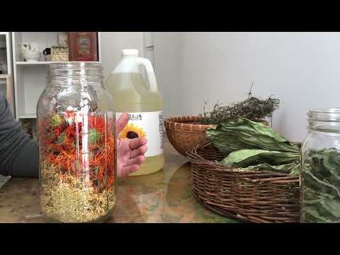 Summer Solstice plant medicines